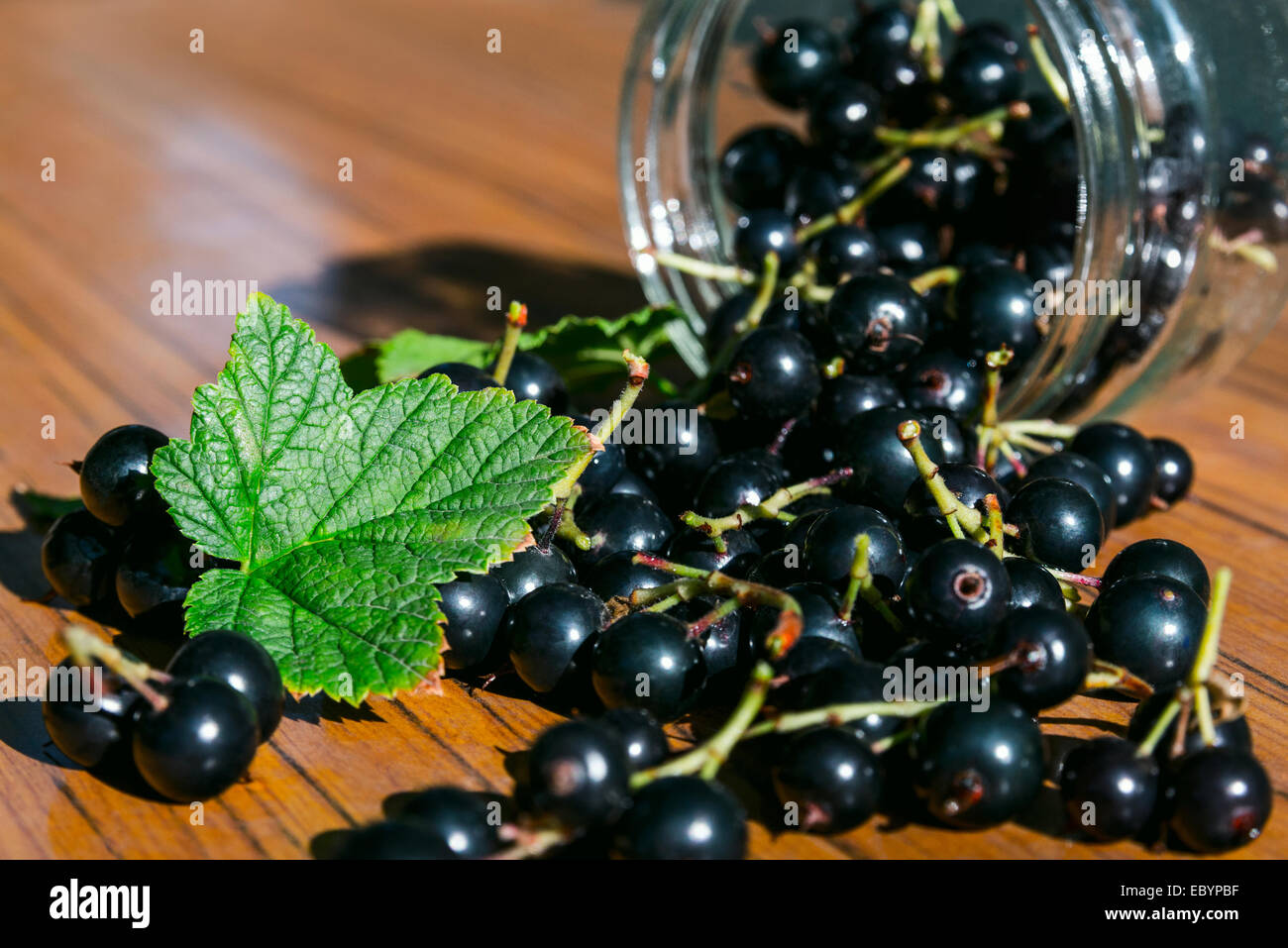 Scattered berries hi-res stock photography and images - Alamy