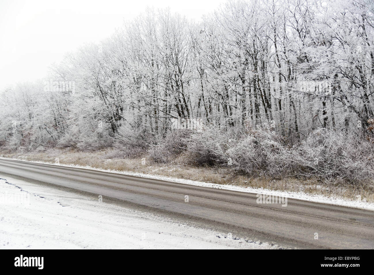 Winter landscape, snow-covered forest near the road Stock Photo - Alamy