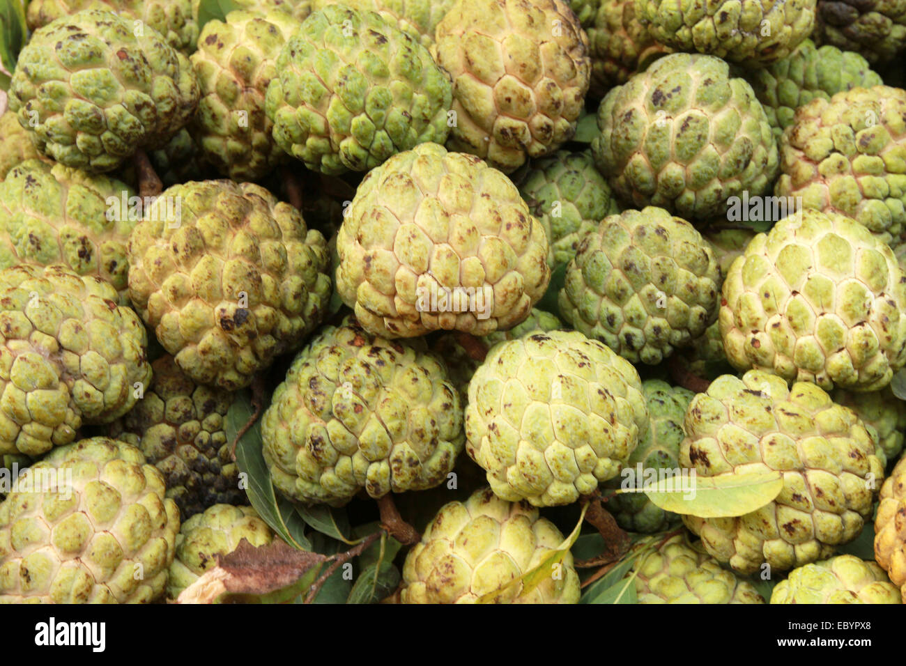 Dhaka 05 december 2014 fruit hi-res stock photography and images - Alamy