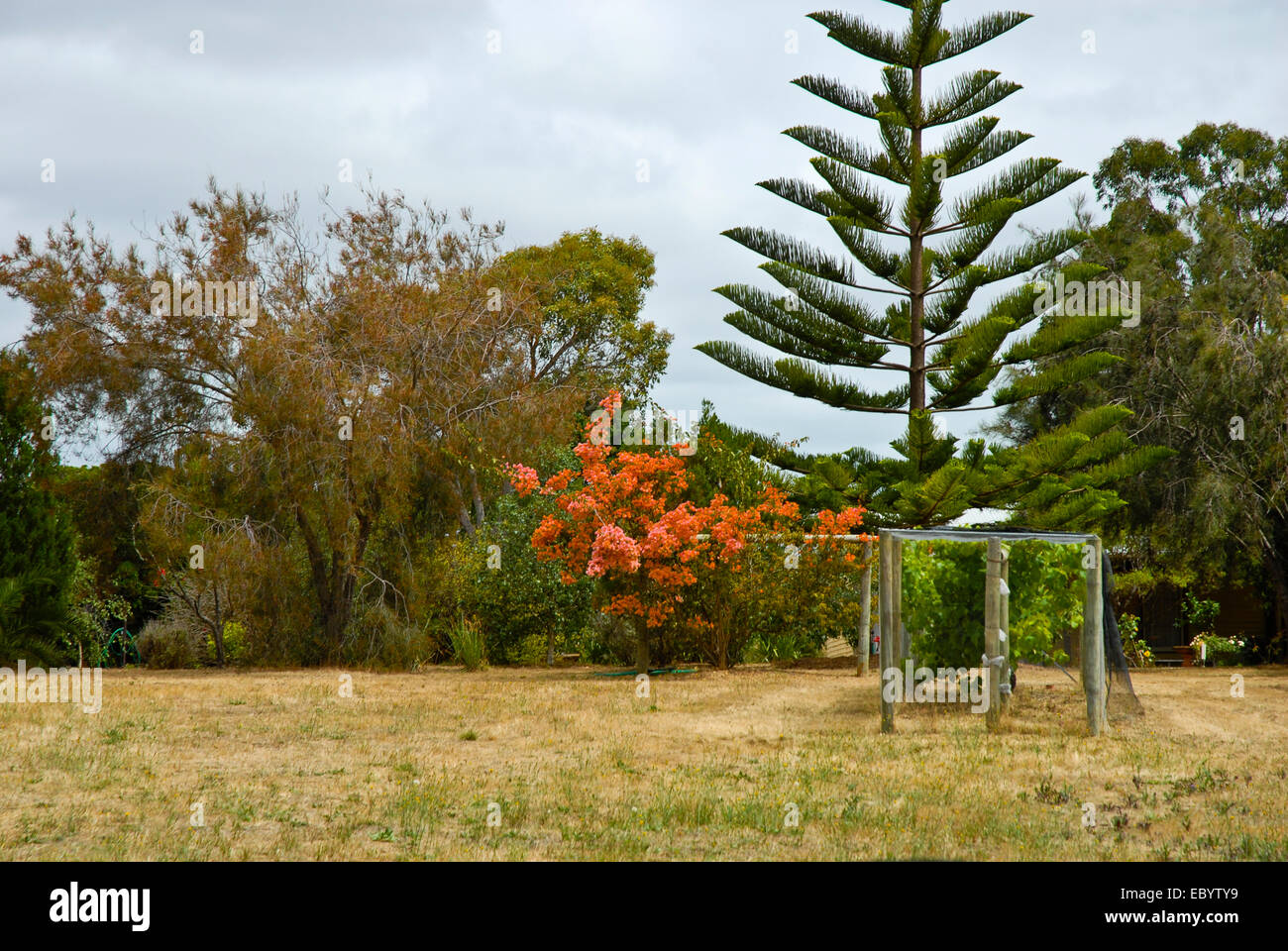 Walpole landscapes,Beaches,Forest,Agriculture,Flora & Fauna,Trees in ...