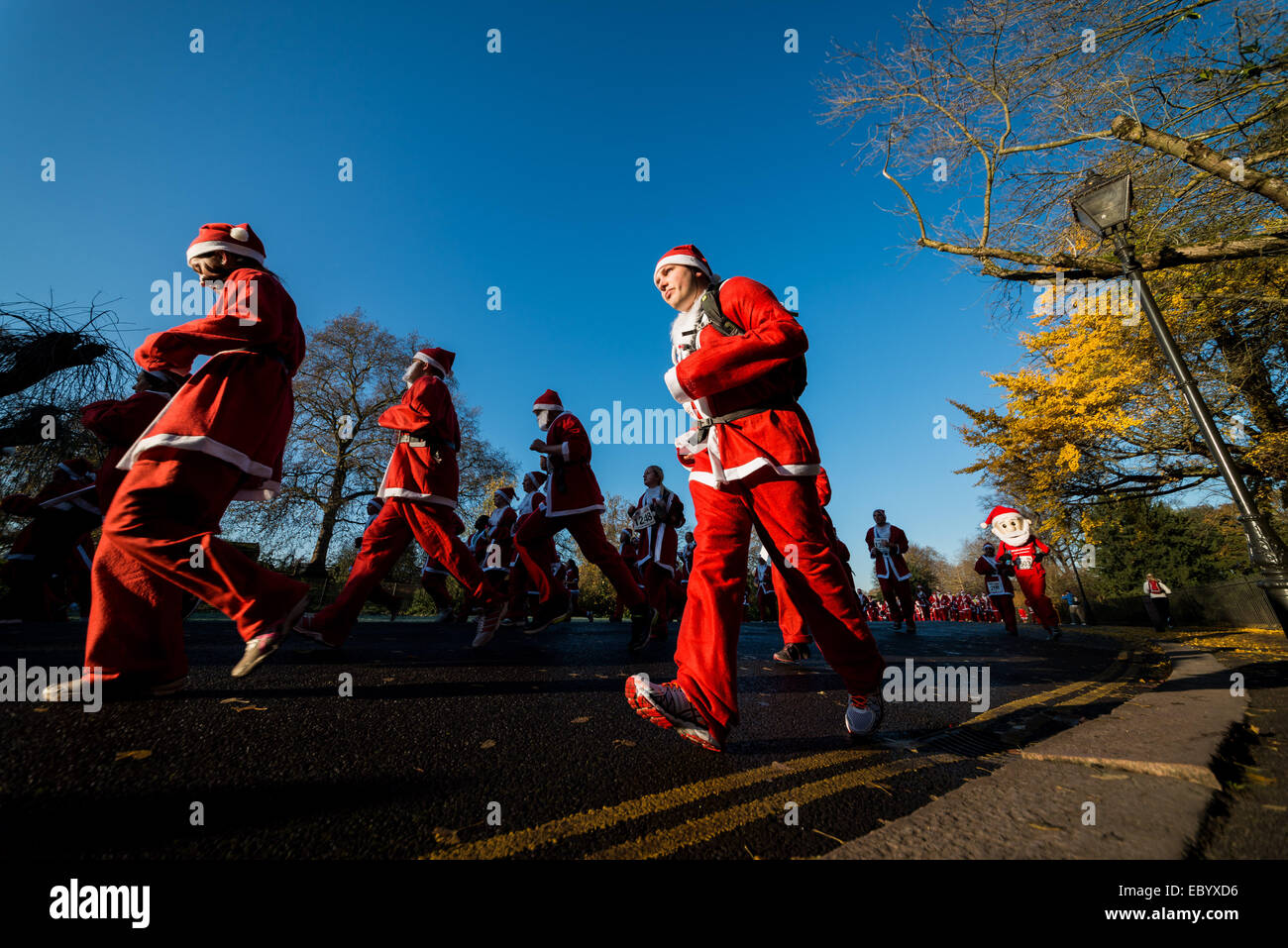 London:Hundreds of Santas run for charity at Battersea Park Stock Photo ...