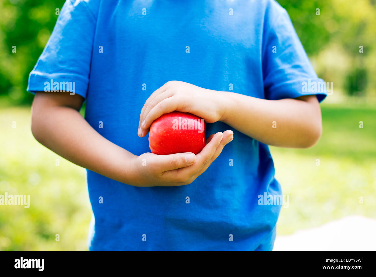 Two Hands Touching A Apple