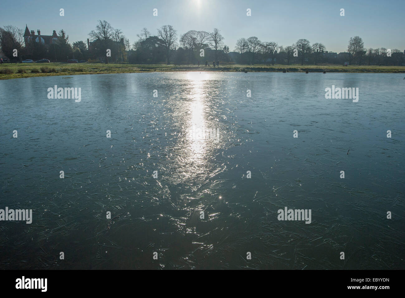 Wimbledon pond park hi-res stock photography and images - Alamy
