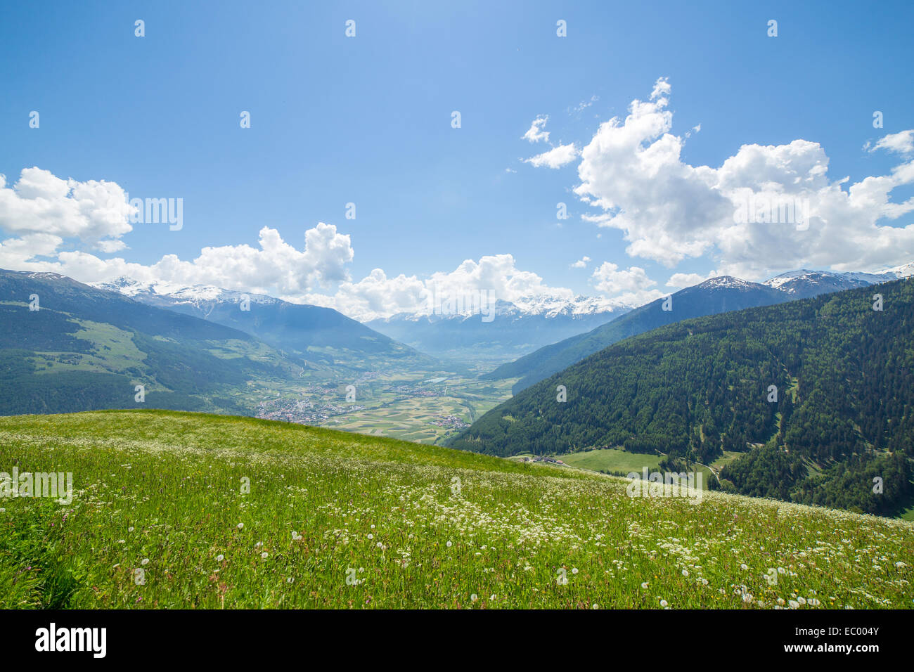 Landscape of a green meadow in the alps Stock Photo - Alamy