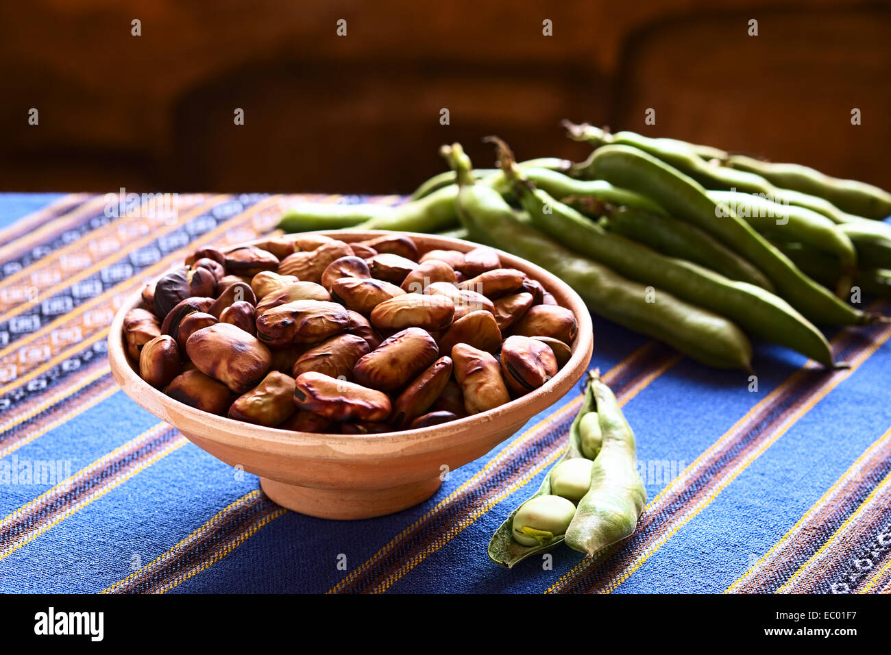 Toasted fava beans (lat. Vicia faba, South America: haba) eaten as ...