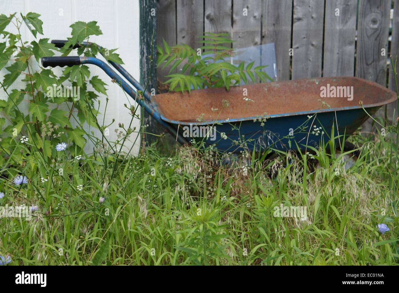 Rusty Planting High Resolution Stock Photography and Images - Alamy