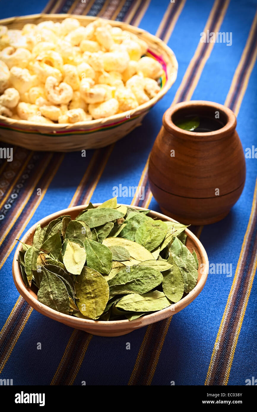 Coca plant bolivia hi-res stock photography and images - Alamy