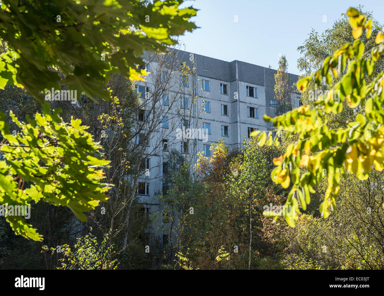 block of flats in Pripyat abandoned city, Chernobyl Exclusion Zone ...