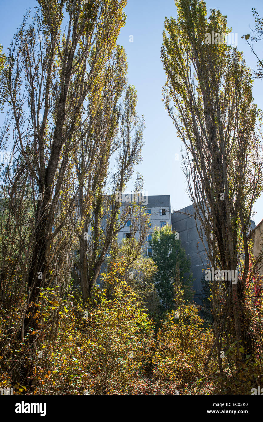 block of flats in Pripyat abandoned city, Chernobyl Exclusion Zone ...