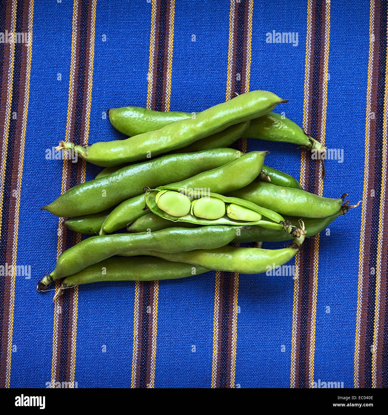 Fresh raw fava beans (lat. Vicia faba, South America: haba ...