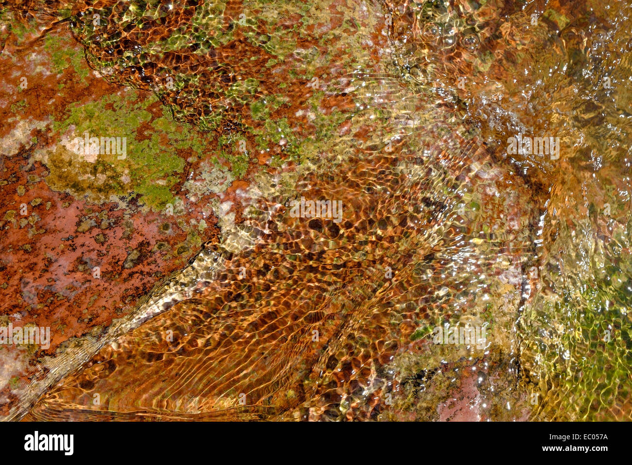 A stream flowing over colourful red rocks and green algae in a river in ...