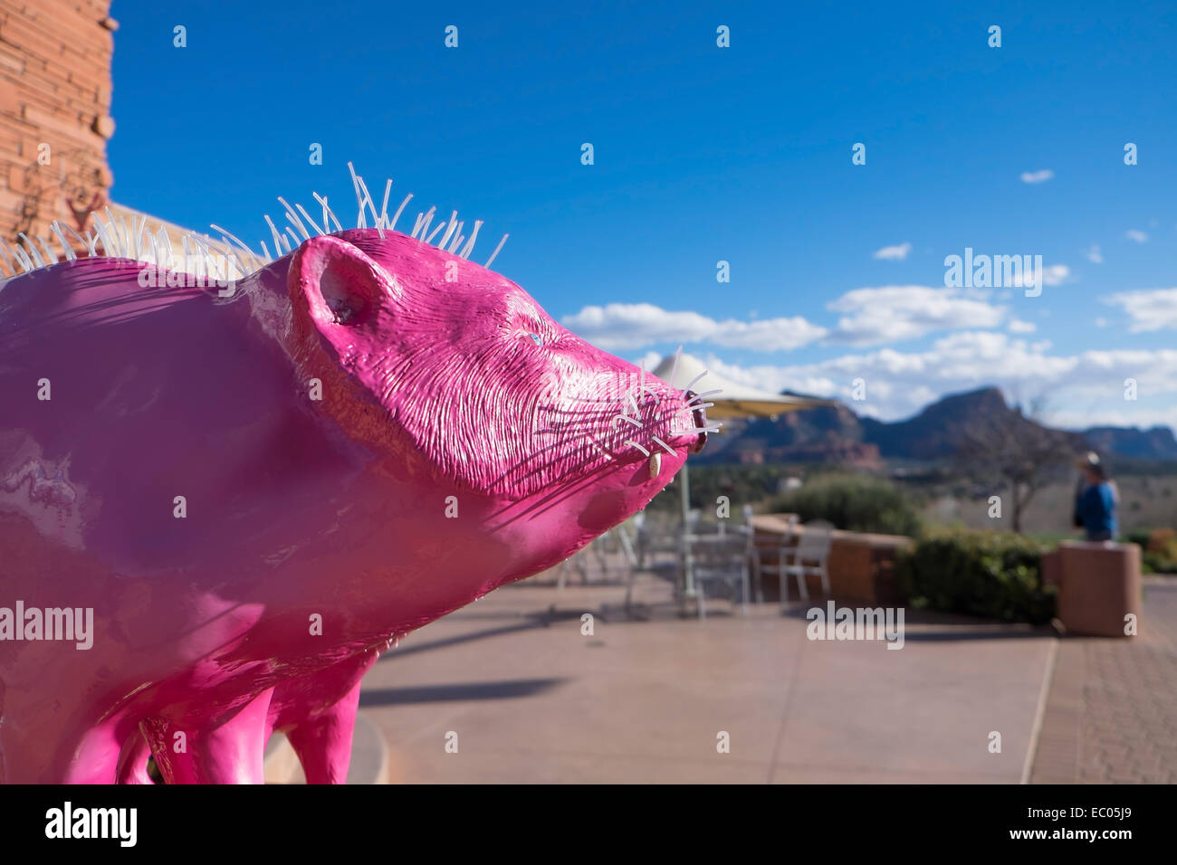 A model of a pink Javelina (wild pig) in Sedona, Arizona, USA Stock ...