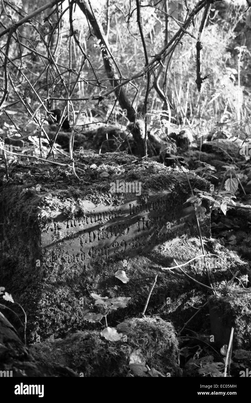 Abandoned St Mary's Churchyard, Eysey, near Cricklade, Thames path ...