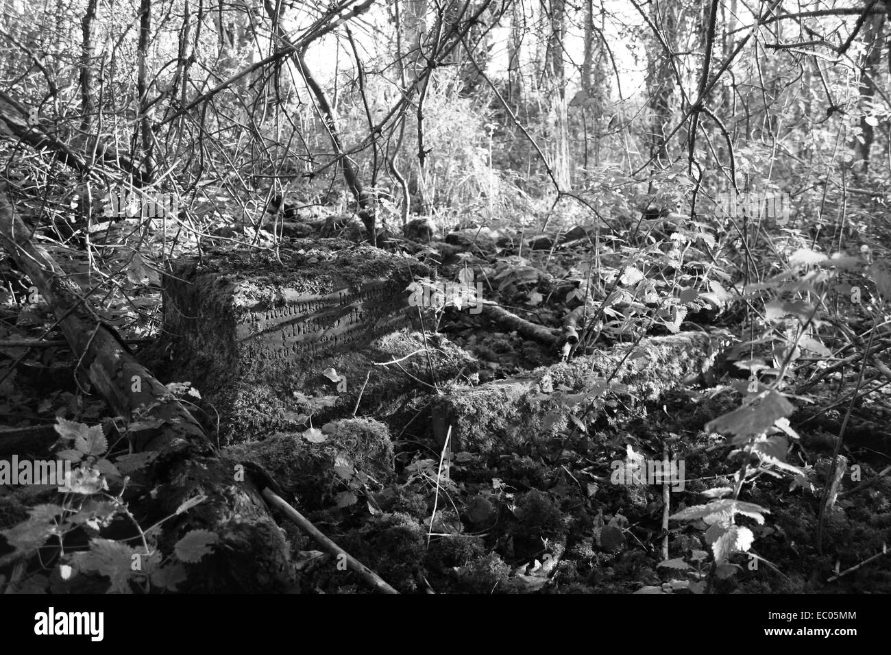 Haunted churchyard Black and White Stock Photos & Images - Alamy