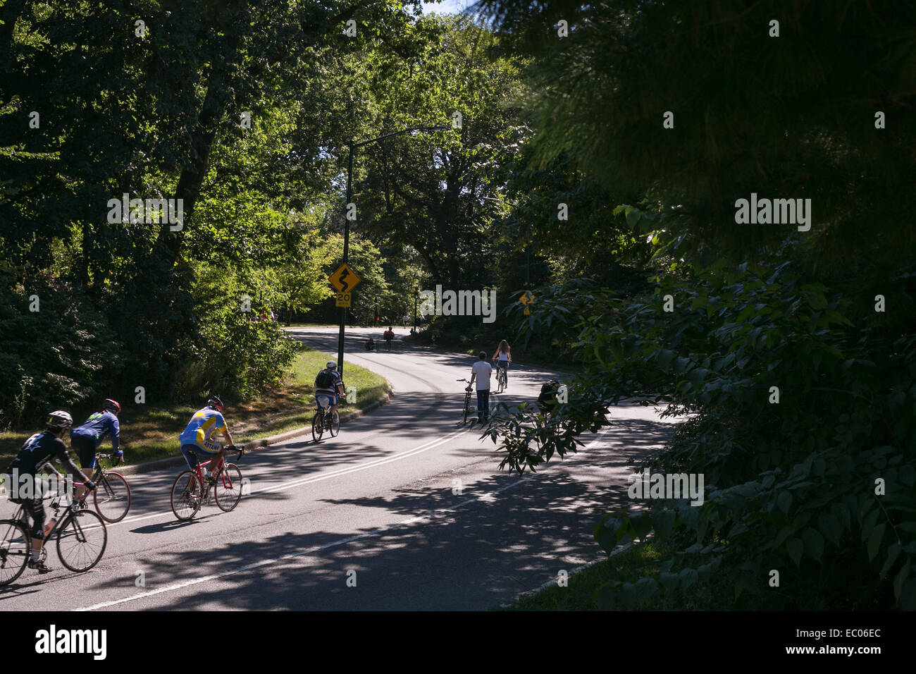 Cyclists in Central Park, New York City Stock Photo - Alamy
