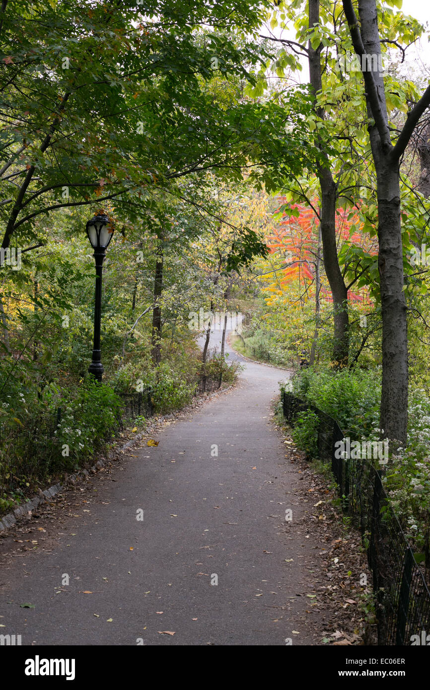 A long empty path in Central Park, New York City Stock Photo - Alamy