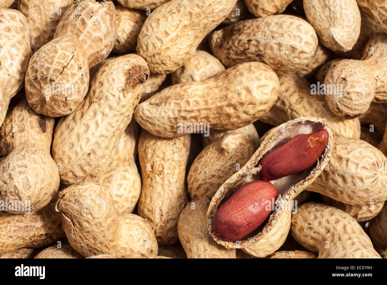 Close up of peanuts Stock Photo - Alamy