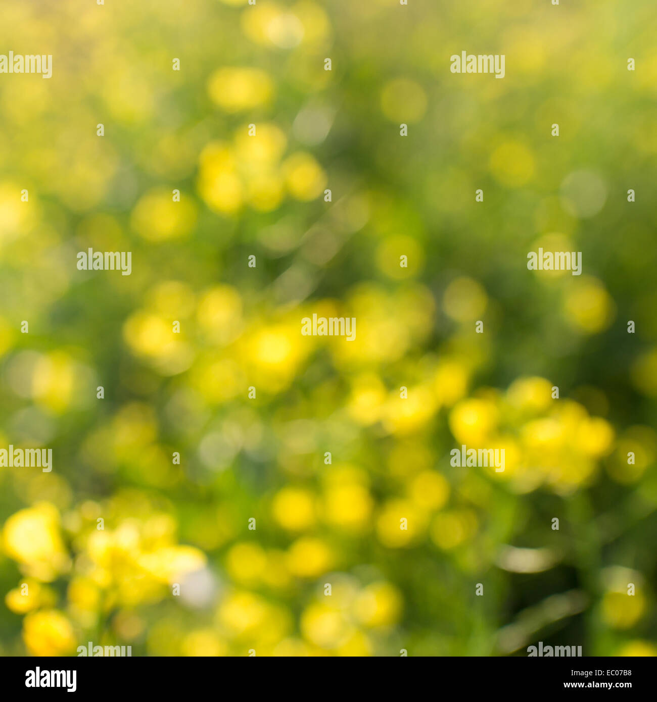Abstract flowers background hi-res stock photography and images - Alamy
