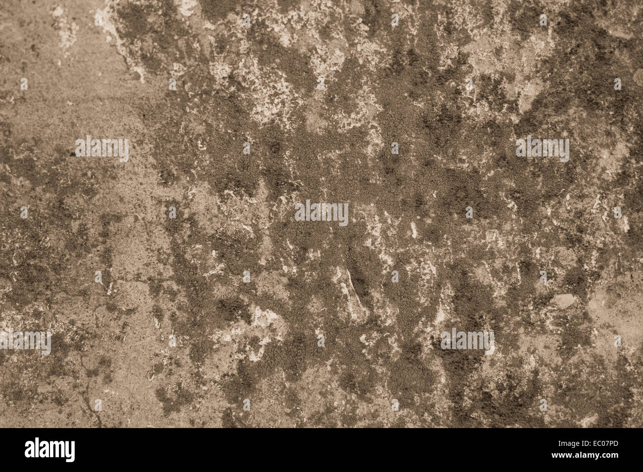Grungy wall texture Stock Photo - Alamy