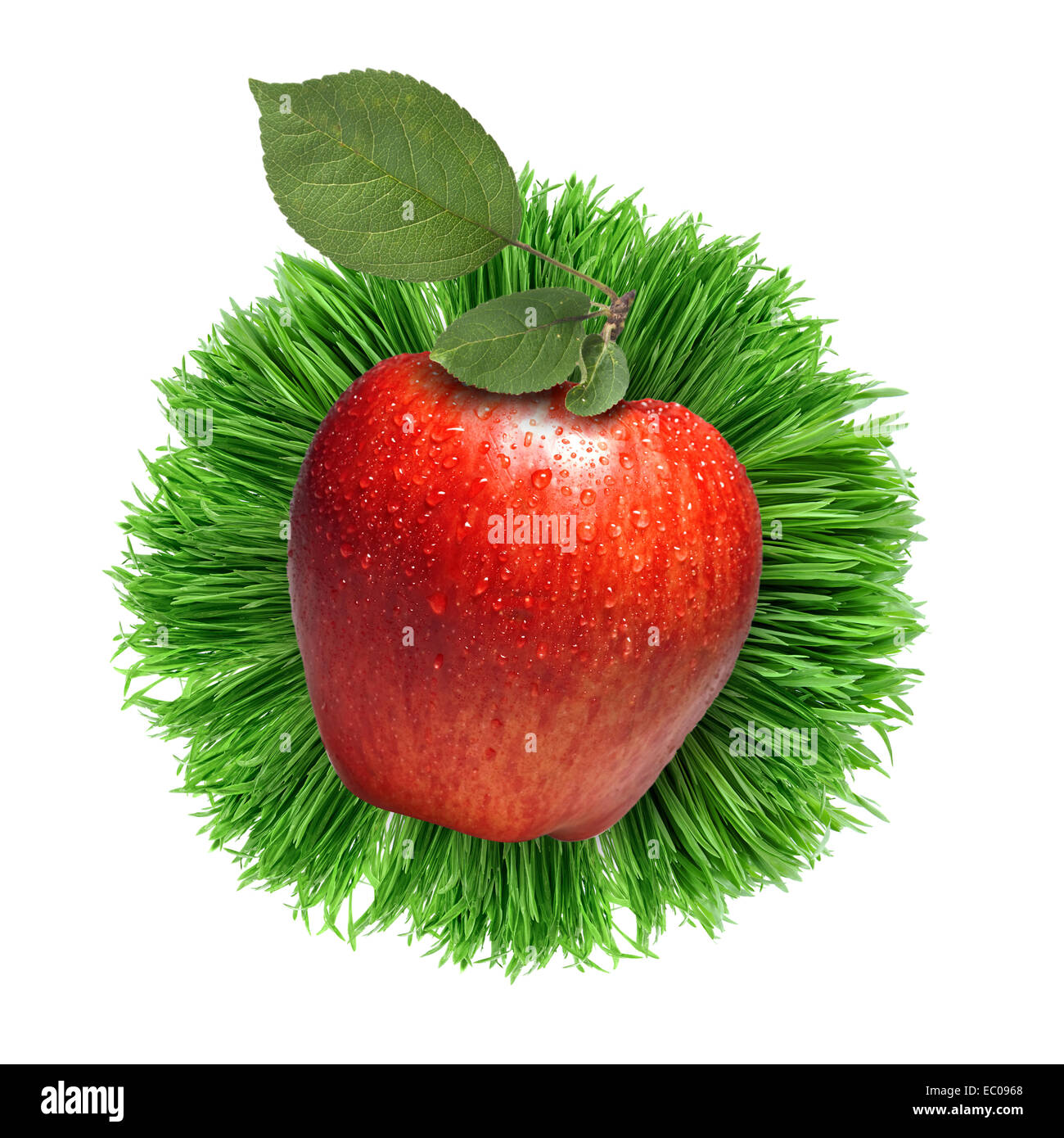 red apple with in grass isolated on white Stock Photo - Alamy