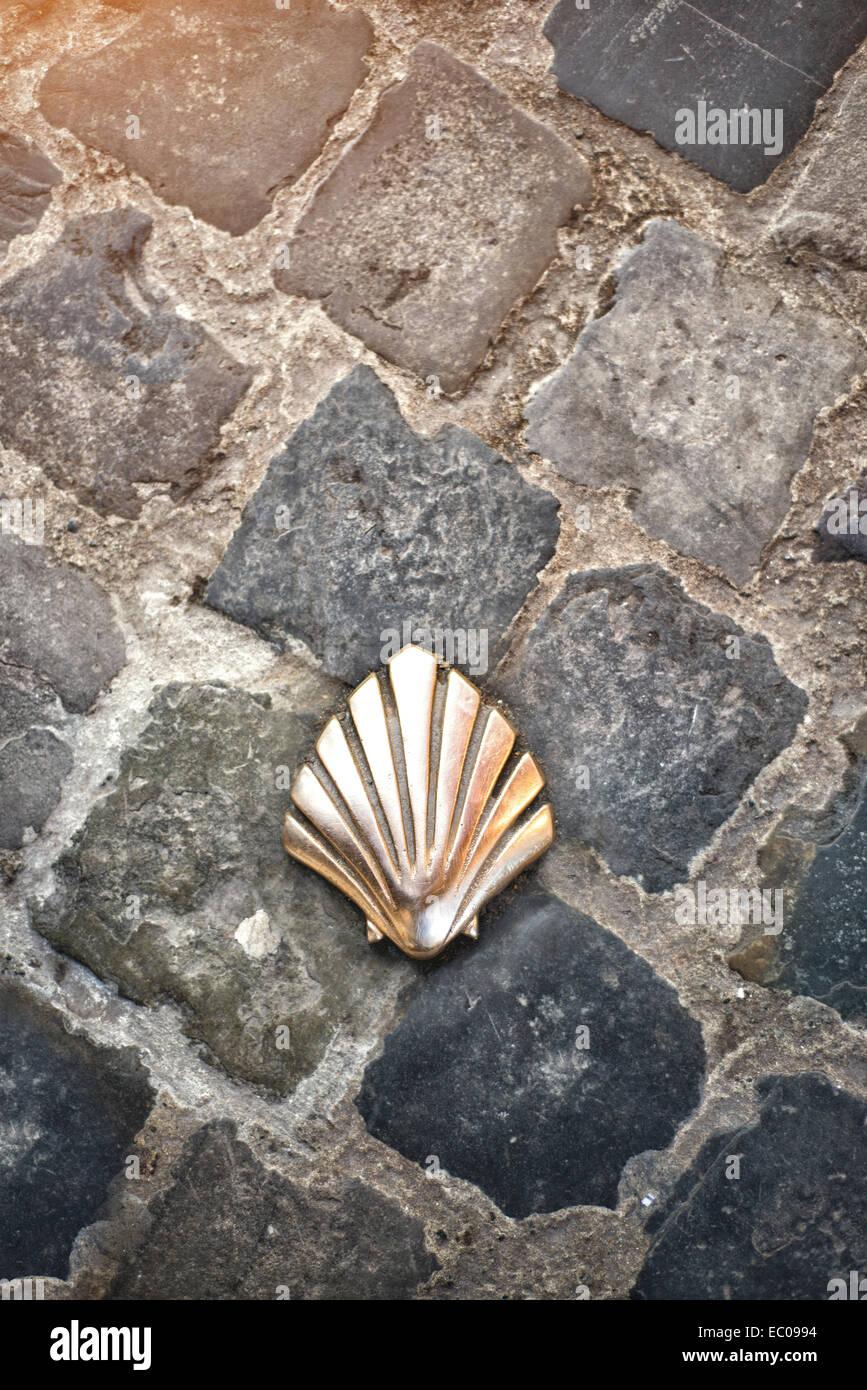 St james shell hi-res stock photography and images - Alamy