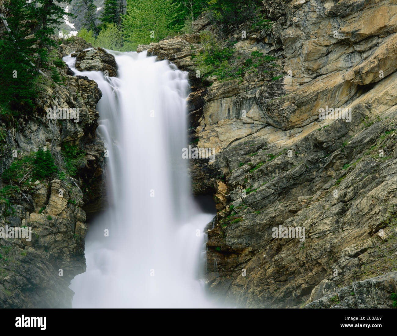 Detail of silky Running Eagle Falls(aka,Trick Falls). Glacier National ...