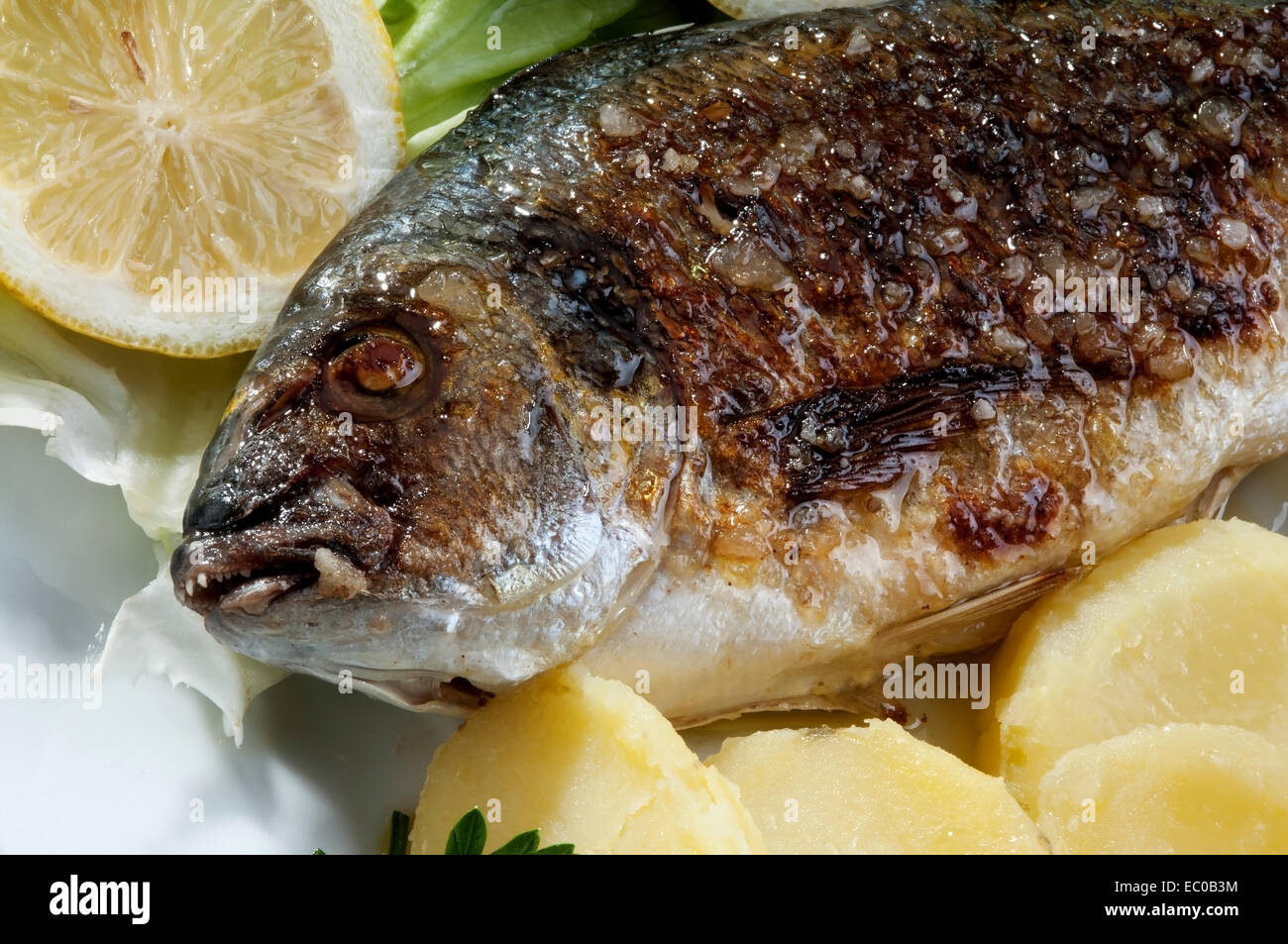 Delicious grilled fish bream, Mediterranean fish, with boiled potatoes ...