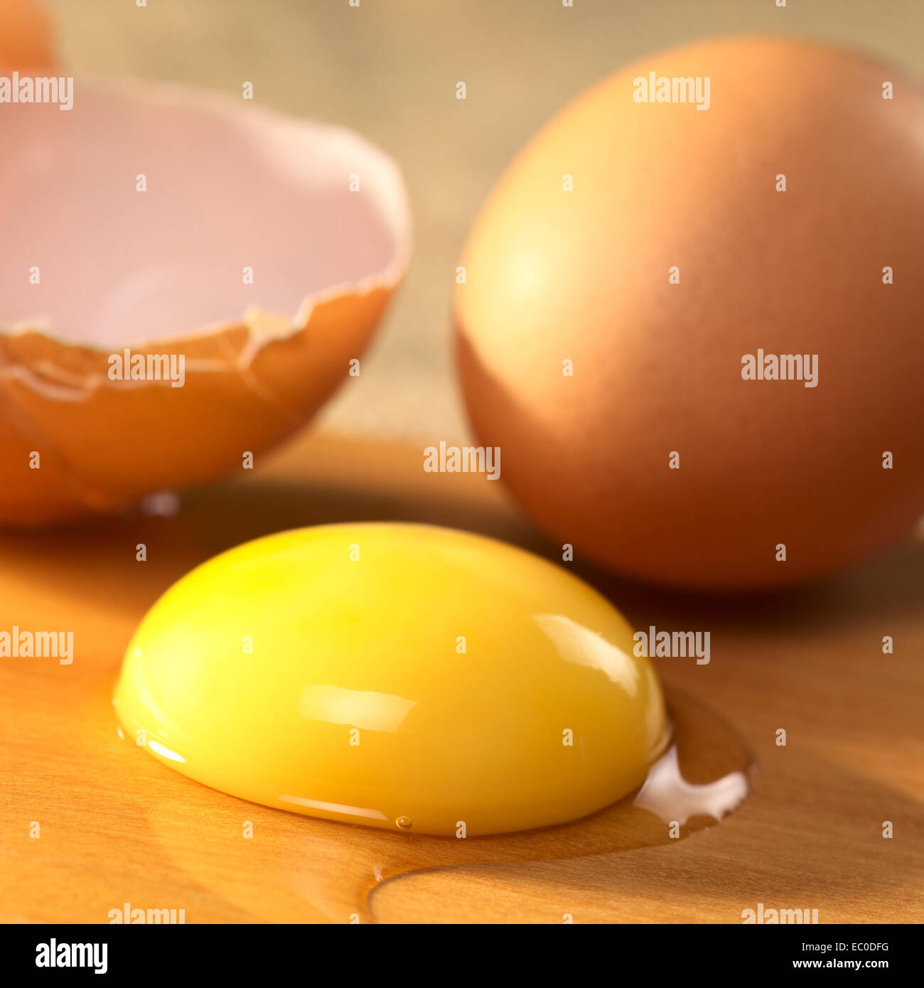 Raw egg yolk and egg white with the cracked open egg shell and a ...
