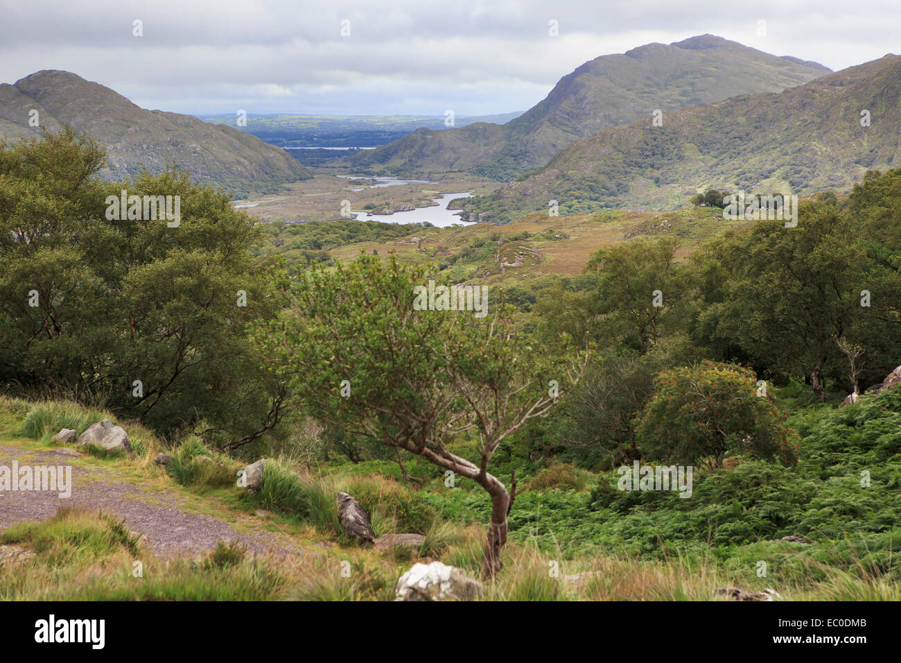 Ladies View in Killarney National Park Stock Photo - Alamy