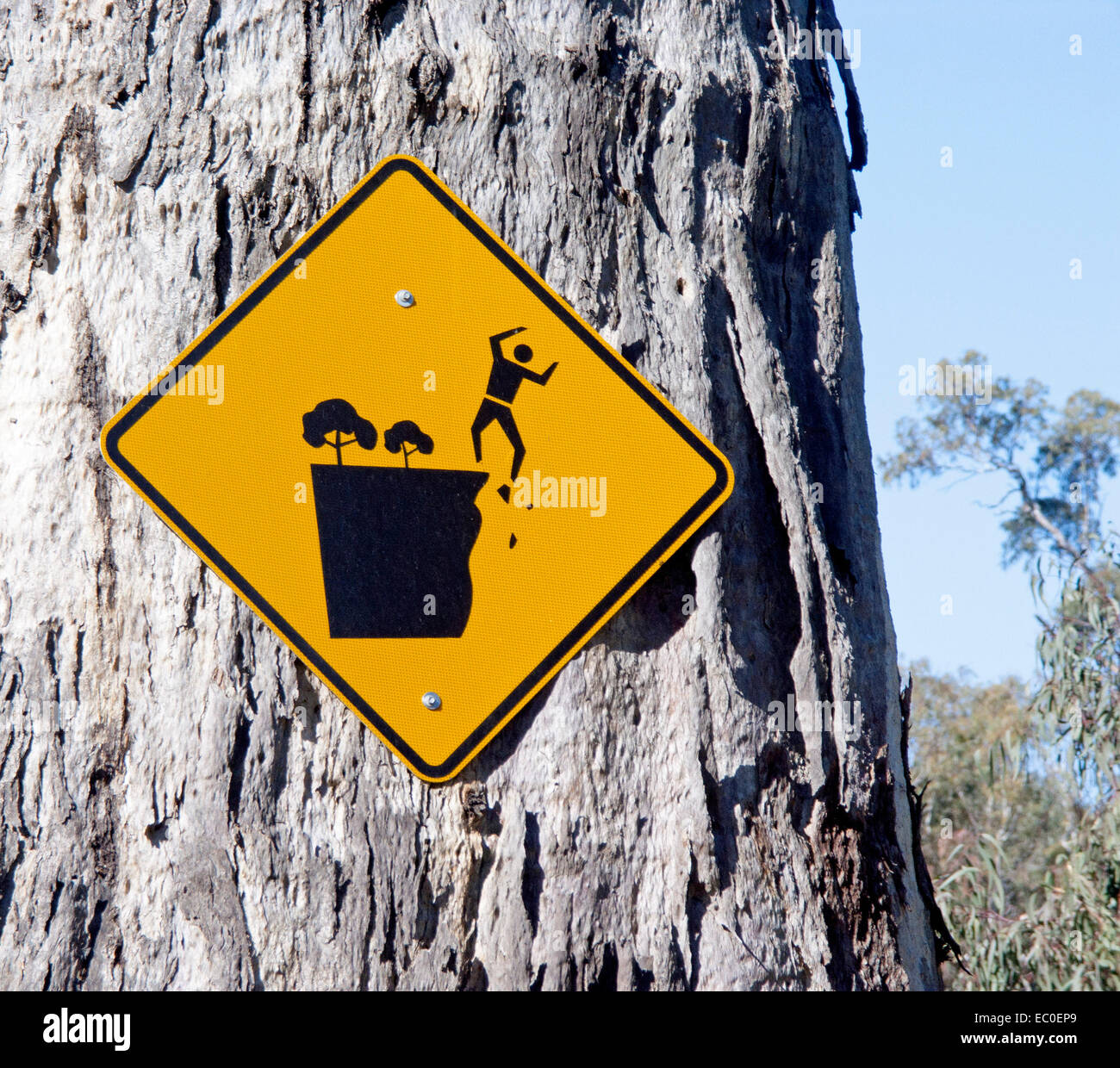 Warning sign on tree trunk alerting people to danger of ground ...