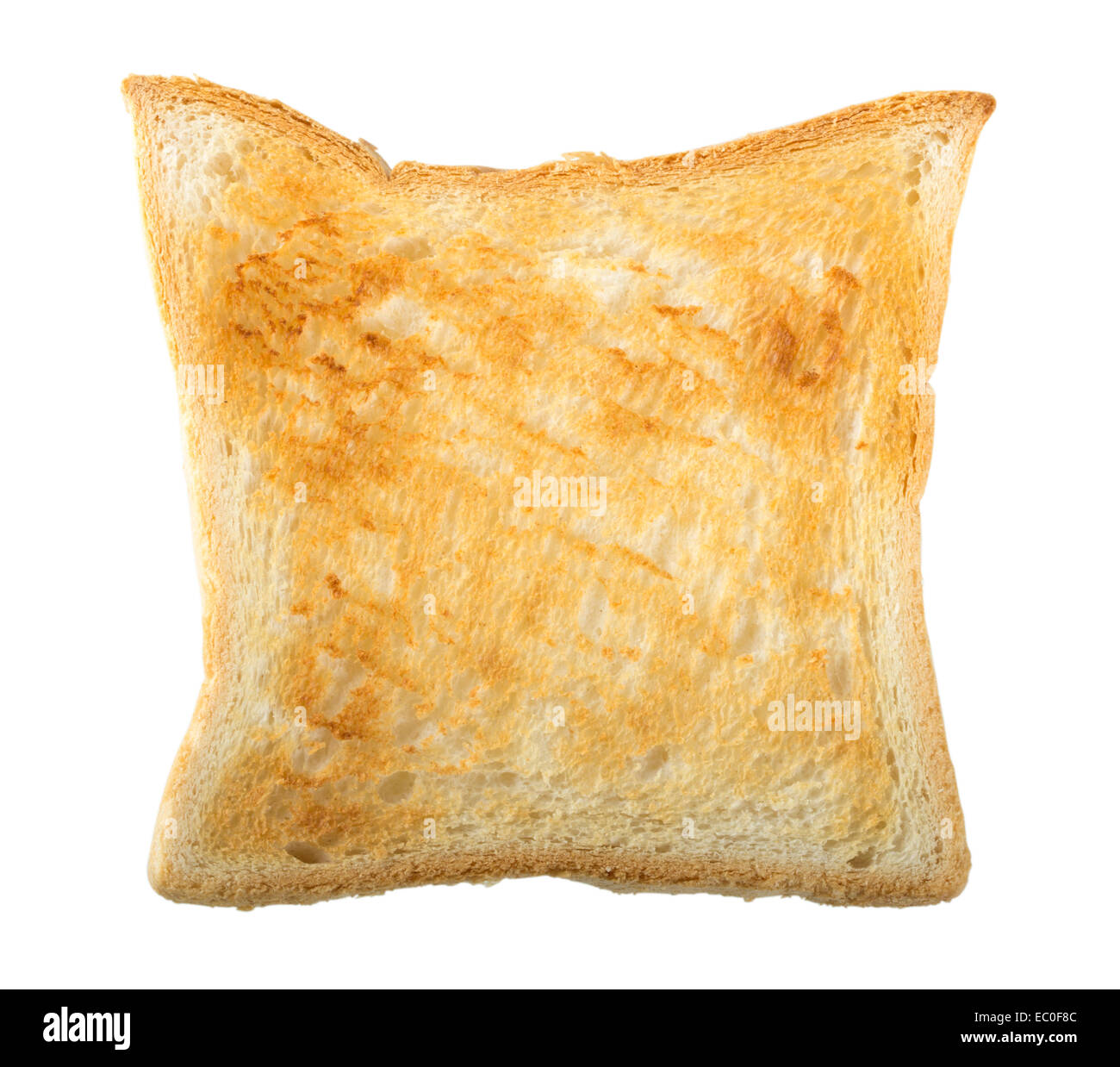 Single Slice of lightly toasted white bread isolated on a white ...