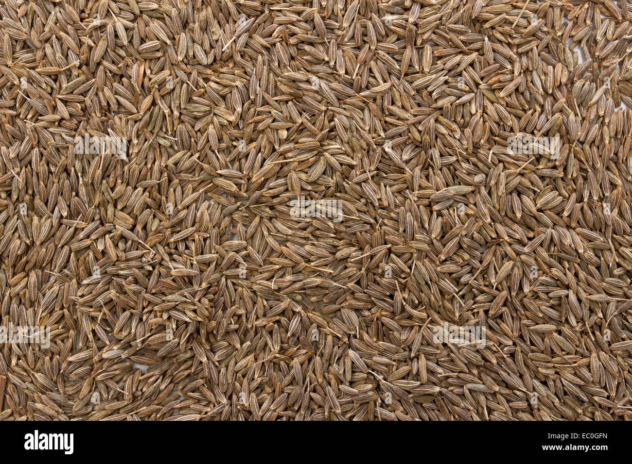 a background of cumin Stock Photo - Alamy