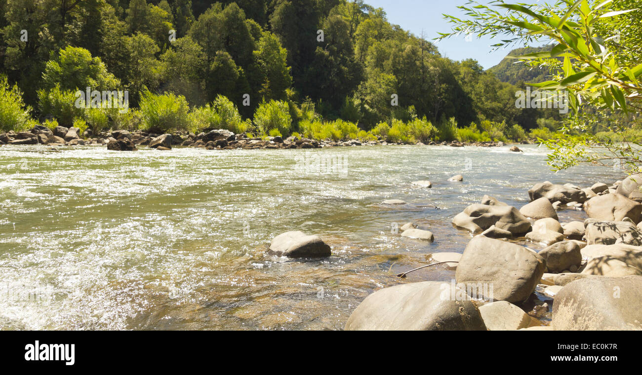 Bio river hi-res stock photography and images - Alamy