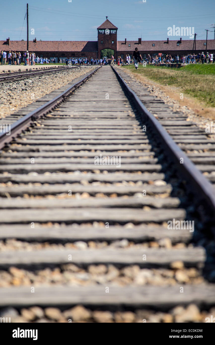 Train tracks into Auschwitz Birkenau Concentration Camp, Poland Stock ...