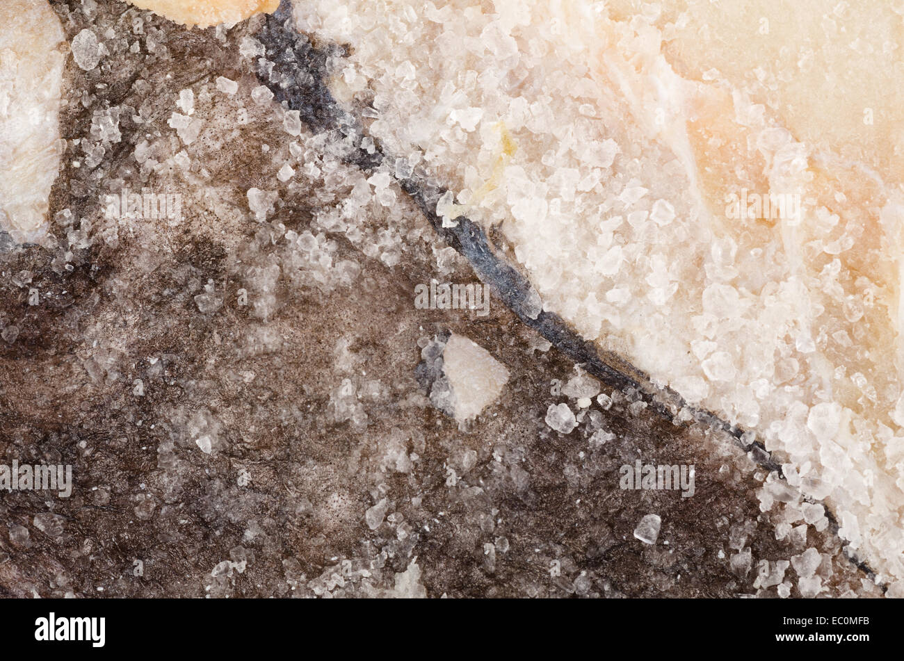 Full frame detail take of salt preserved cod Stock Photo - Alamy
