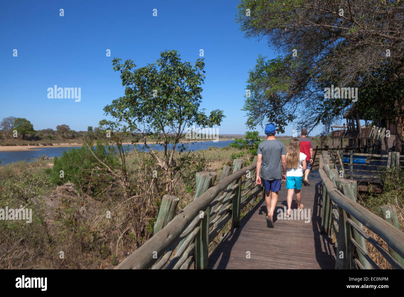 Boardwalk, Lower Sabie rest camp, Kruger national park, South Africa ...