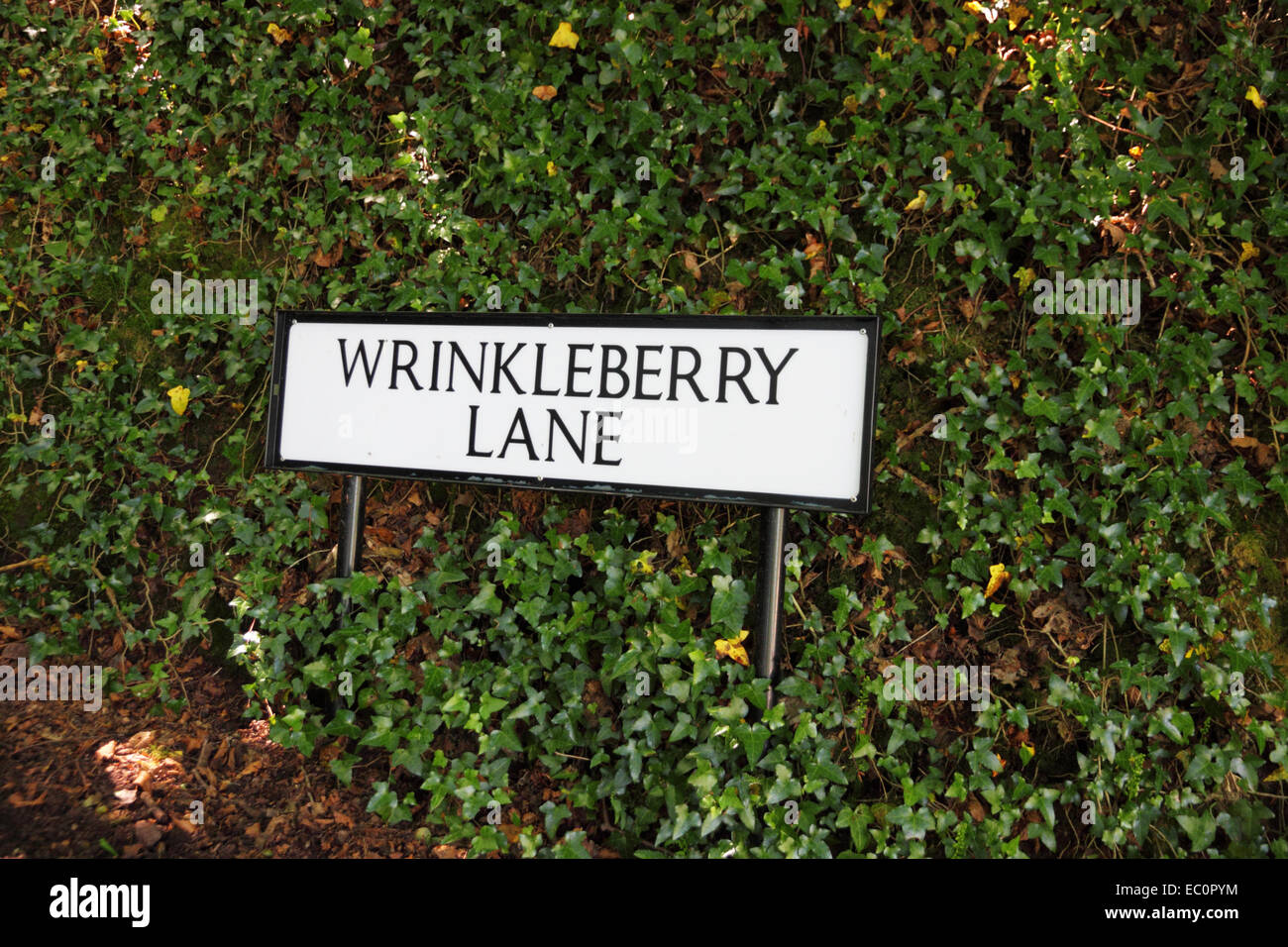 Wrinkleberry lane sign hi-res stock photography and images - Alamy