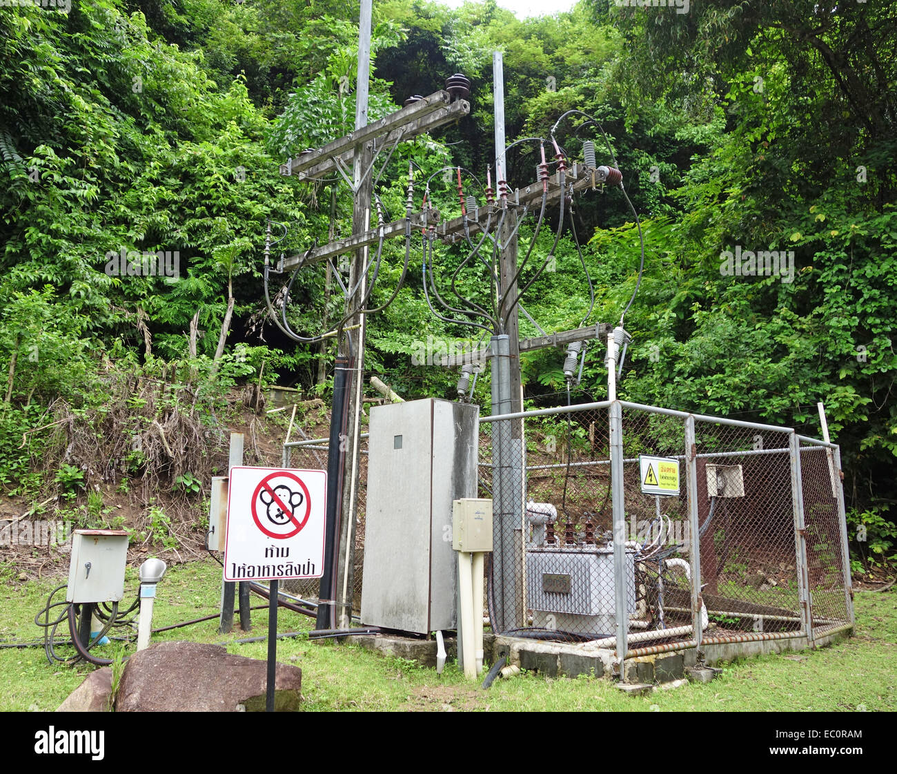 transformer vault at the forest Stock Photo - Alamy