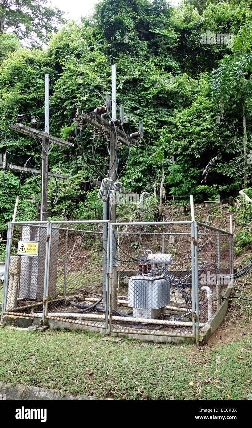transformer vault at the forest Stock Photo - Alamy