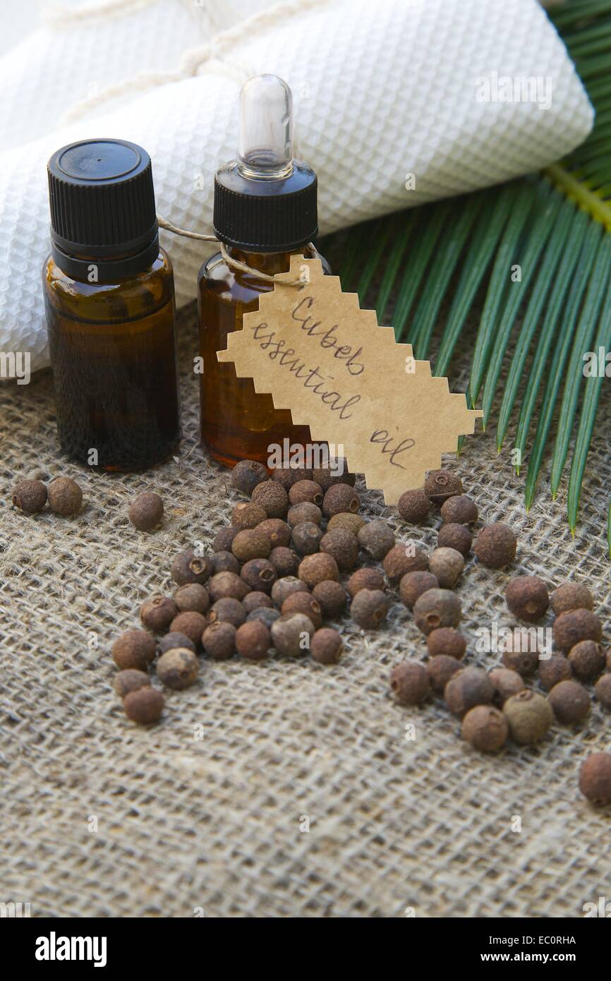 A bottle of cubeb essential oil on the sackcloth. Cubeb berries in the ...