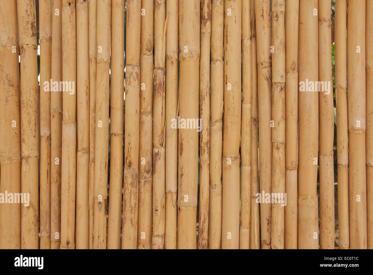 Dried bamboo sticks - background Stock Photo - Alamy