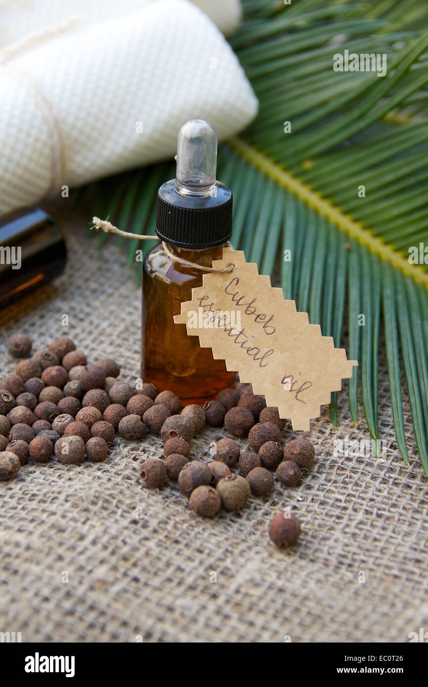A bottle of cubeb essential oil on the sackcloth. Cubeb berries in the ...
