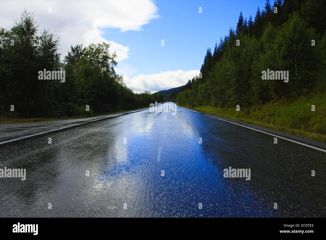 wet road after the rain Stock Photo - Alamy