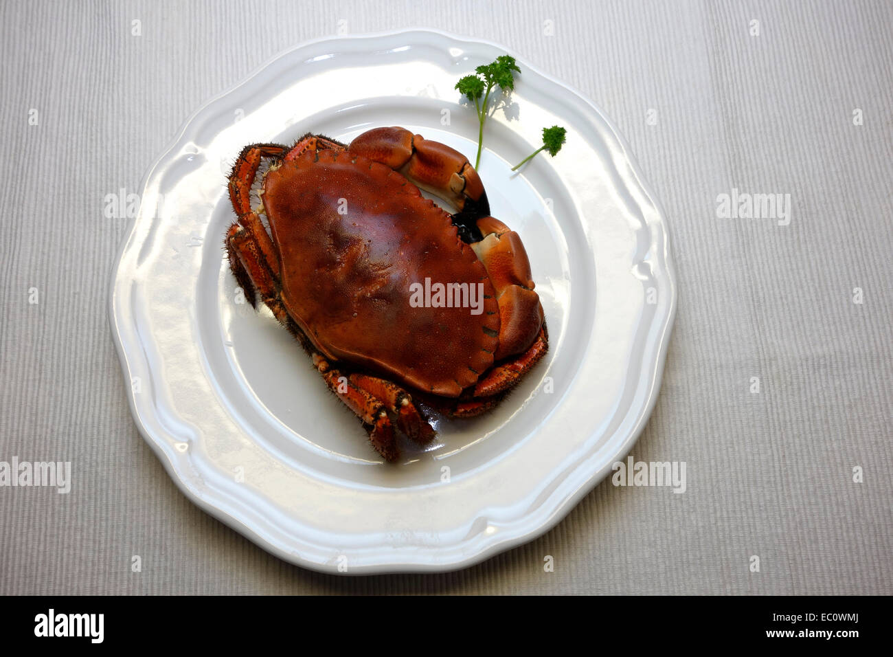 Cooked crab hi-res stock photography and images - Alamy