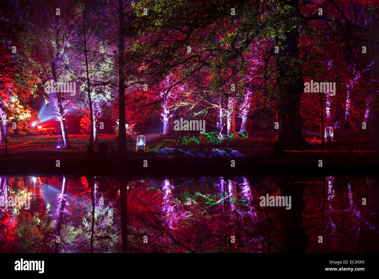 Enchanted Woodland - Night time illuminations of the park, lake and ...