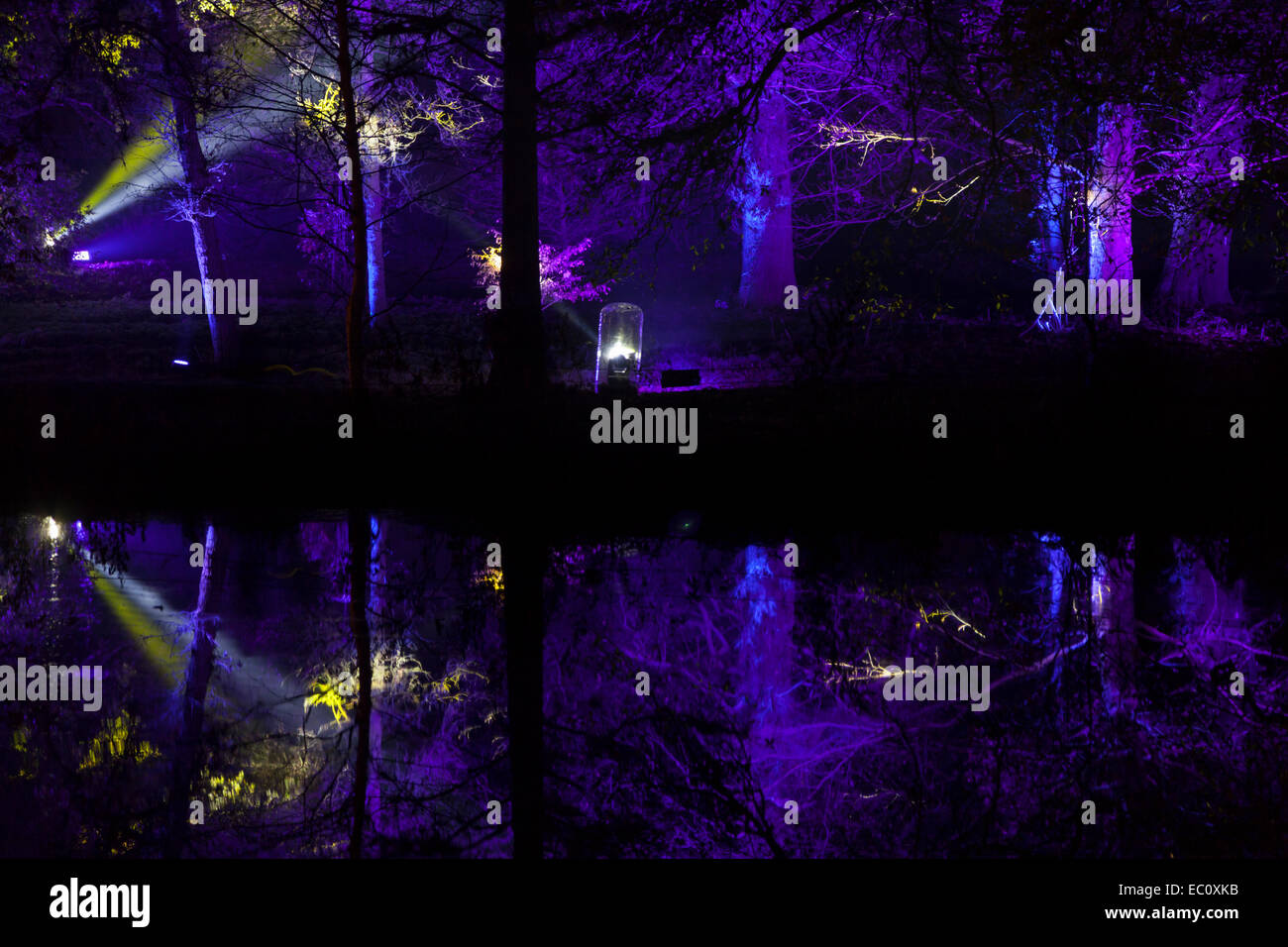 Enchanted Woodland - Night time illuminations of the park, lake and ...