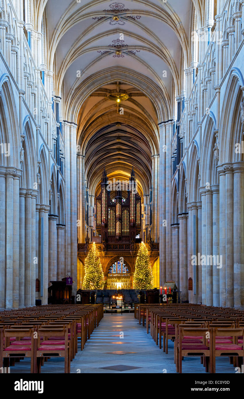 The nave of Beverley Minster, Humberside, East Yorkshire, England UK ...