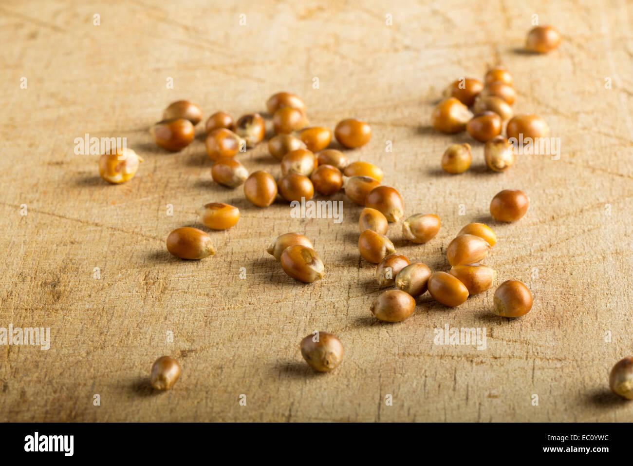 Grain of corn burned over wood background Stock Photo - Alamy