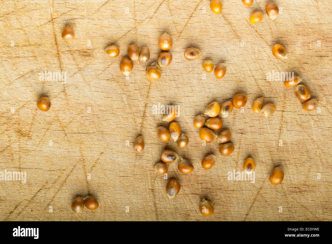 Grain of corn burned over wood background Stock Photo - Alamy