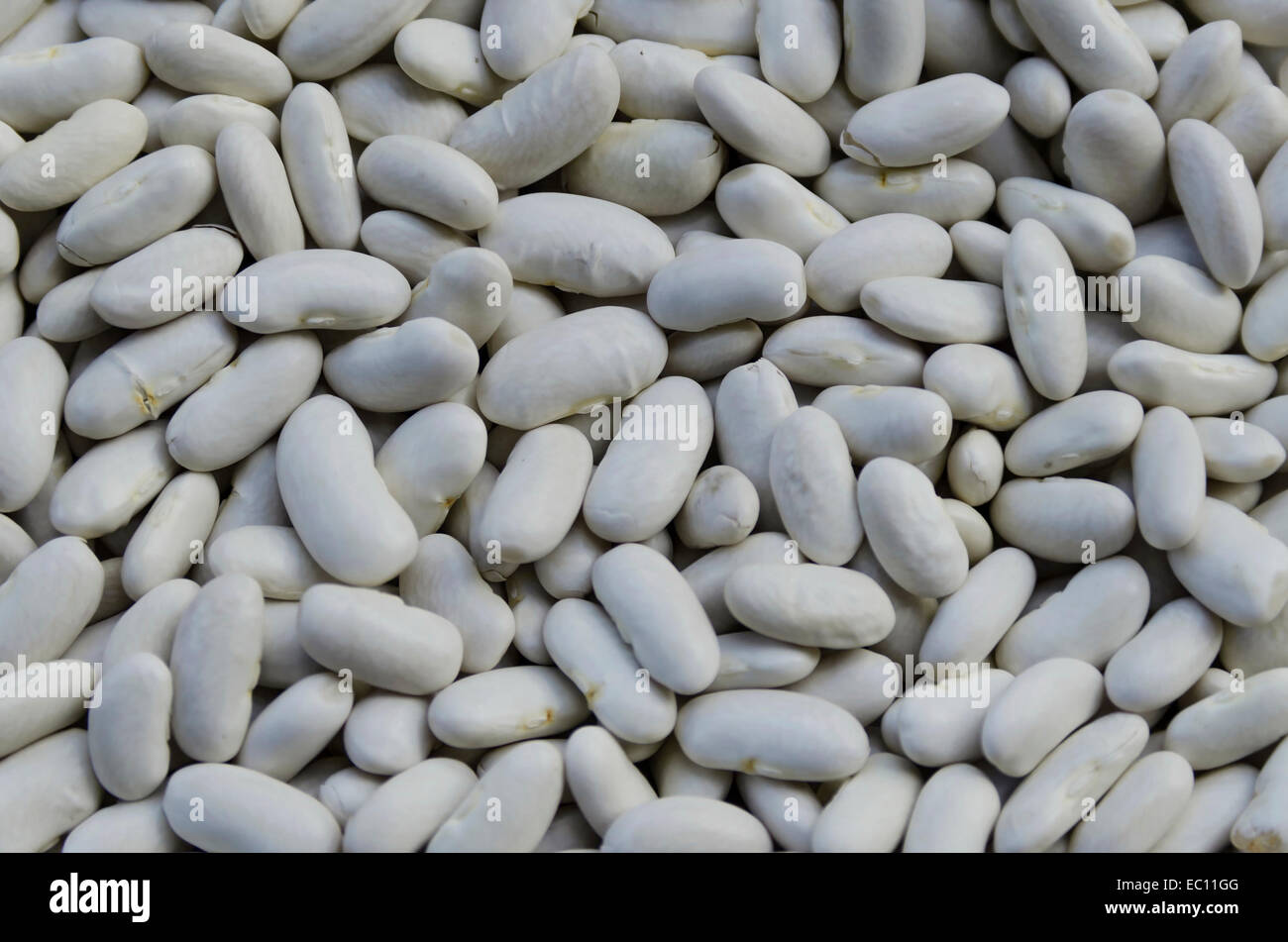 Close up of ripe, white beans from the garden Stock Photo - Alamy
